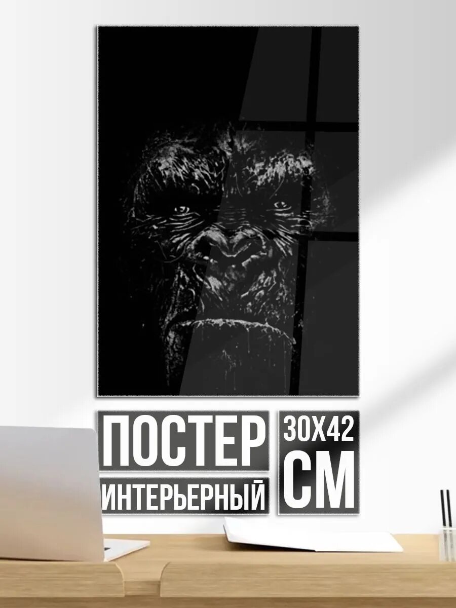 Постер на стену Gorilla face in the dark