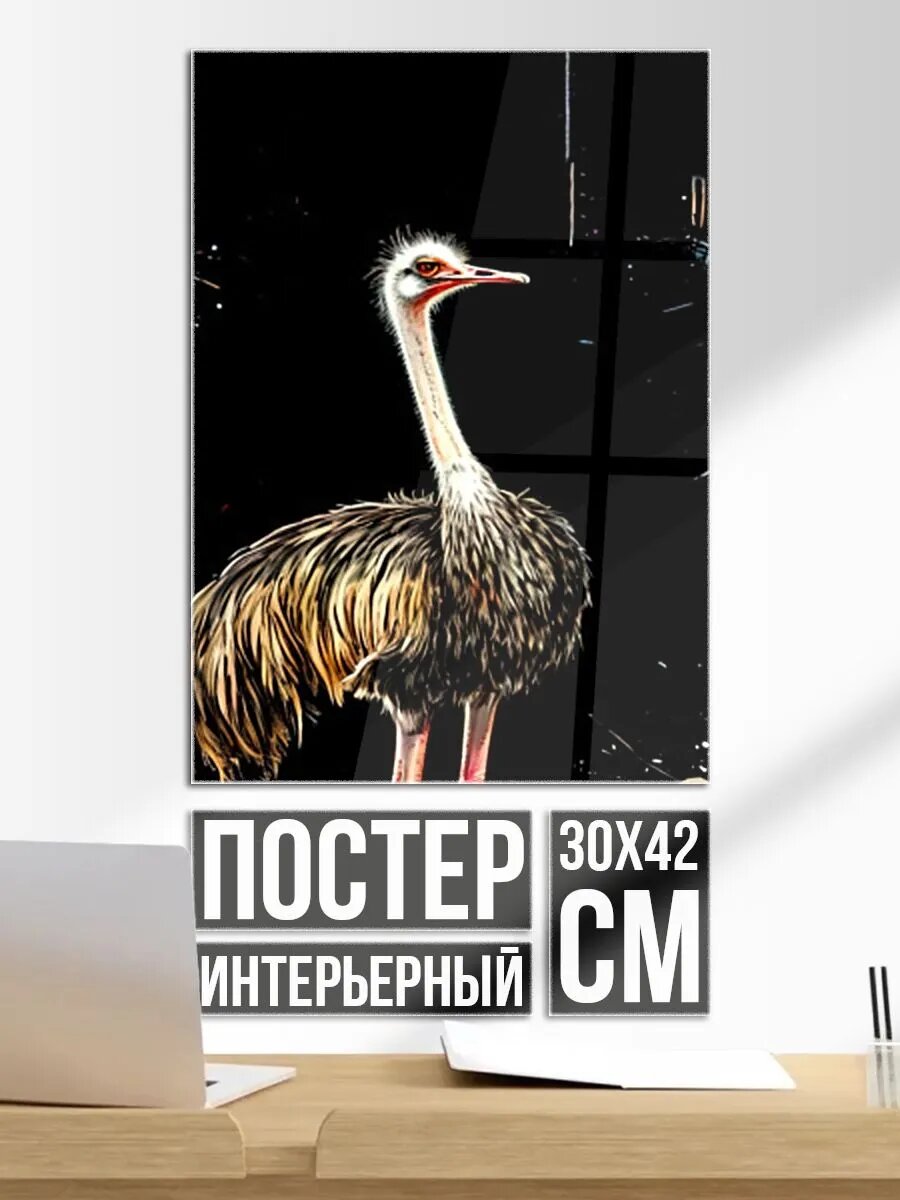 Постер на стену Страус