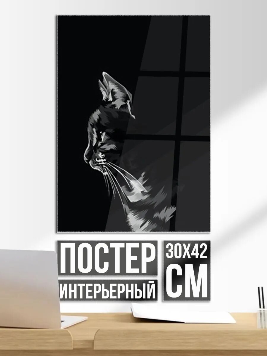 Постер на стену Кошка. Монохром
