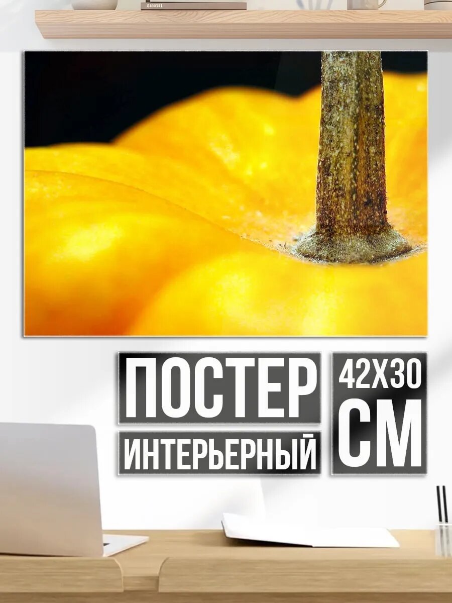 Плакат постер Тыква на черном фоне