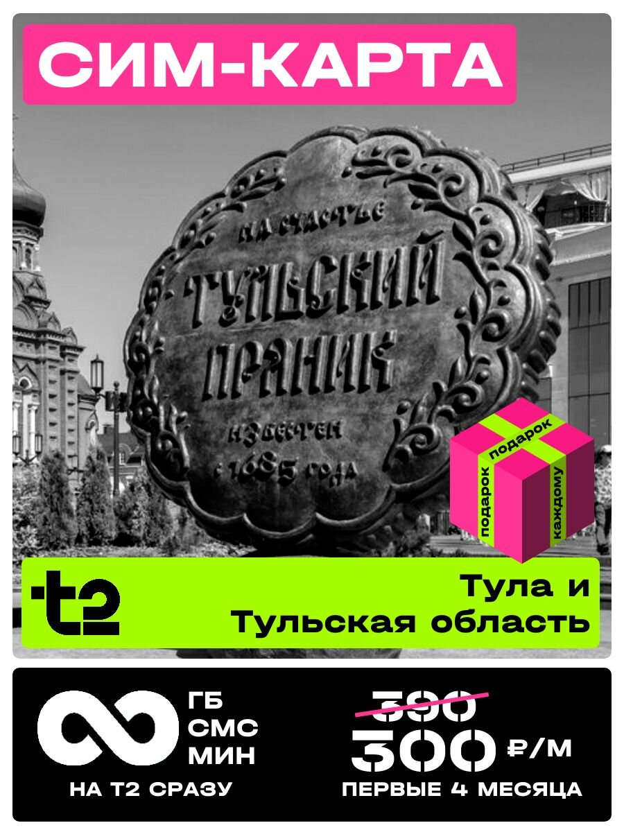 Сим карта теле 2 с безлимитным интернетом и минутами. t2 SIM-карта тариф хватит Тульская область. За 300 рублей в месяц.