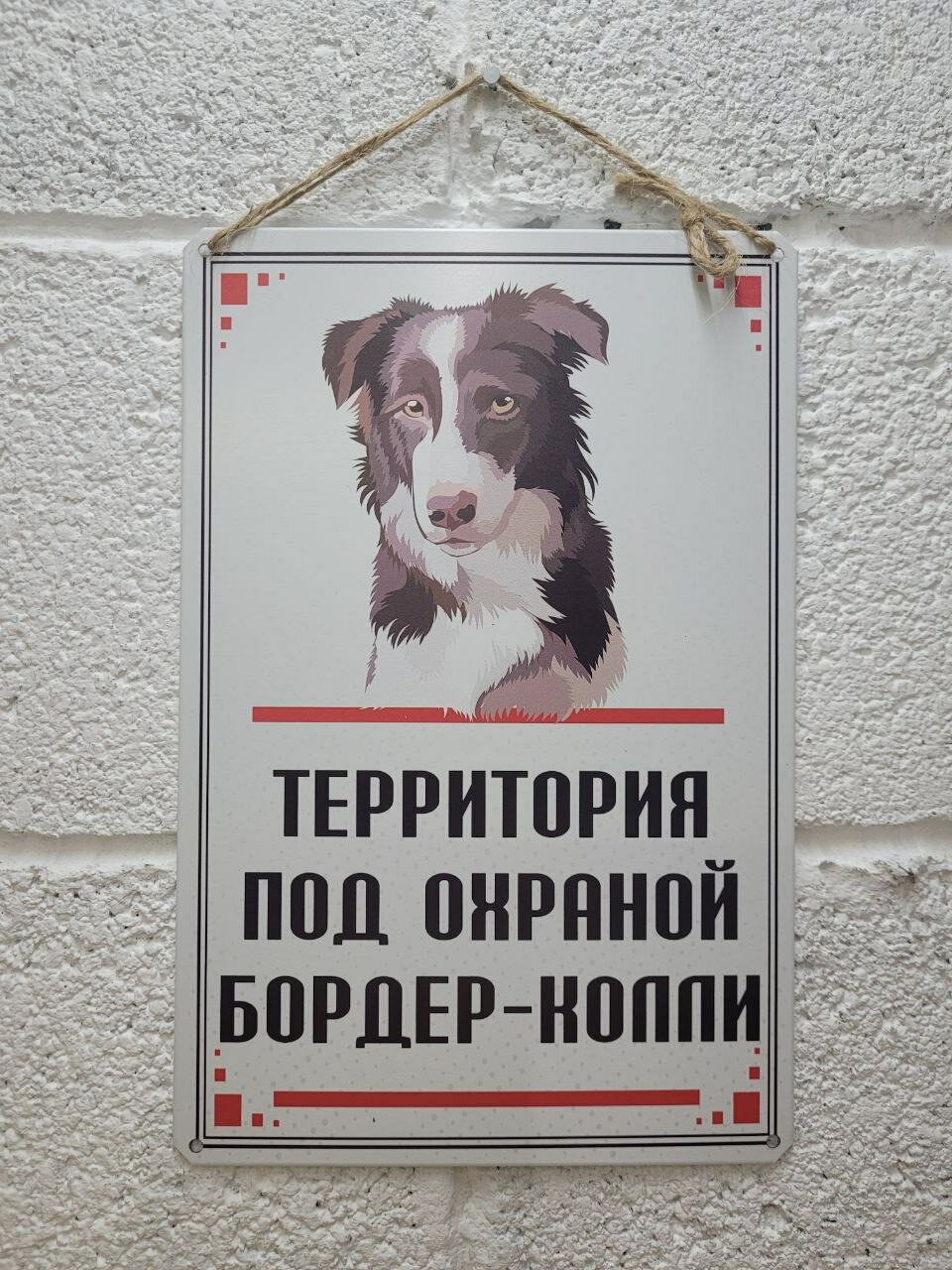 Территория под охраной бордер-колли. Табличка металлическая, картина на жести, декор интерьера, плакат, постер, подарок