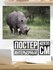 Плакат постер Носорог в саванне