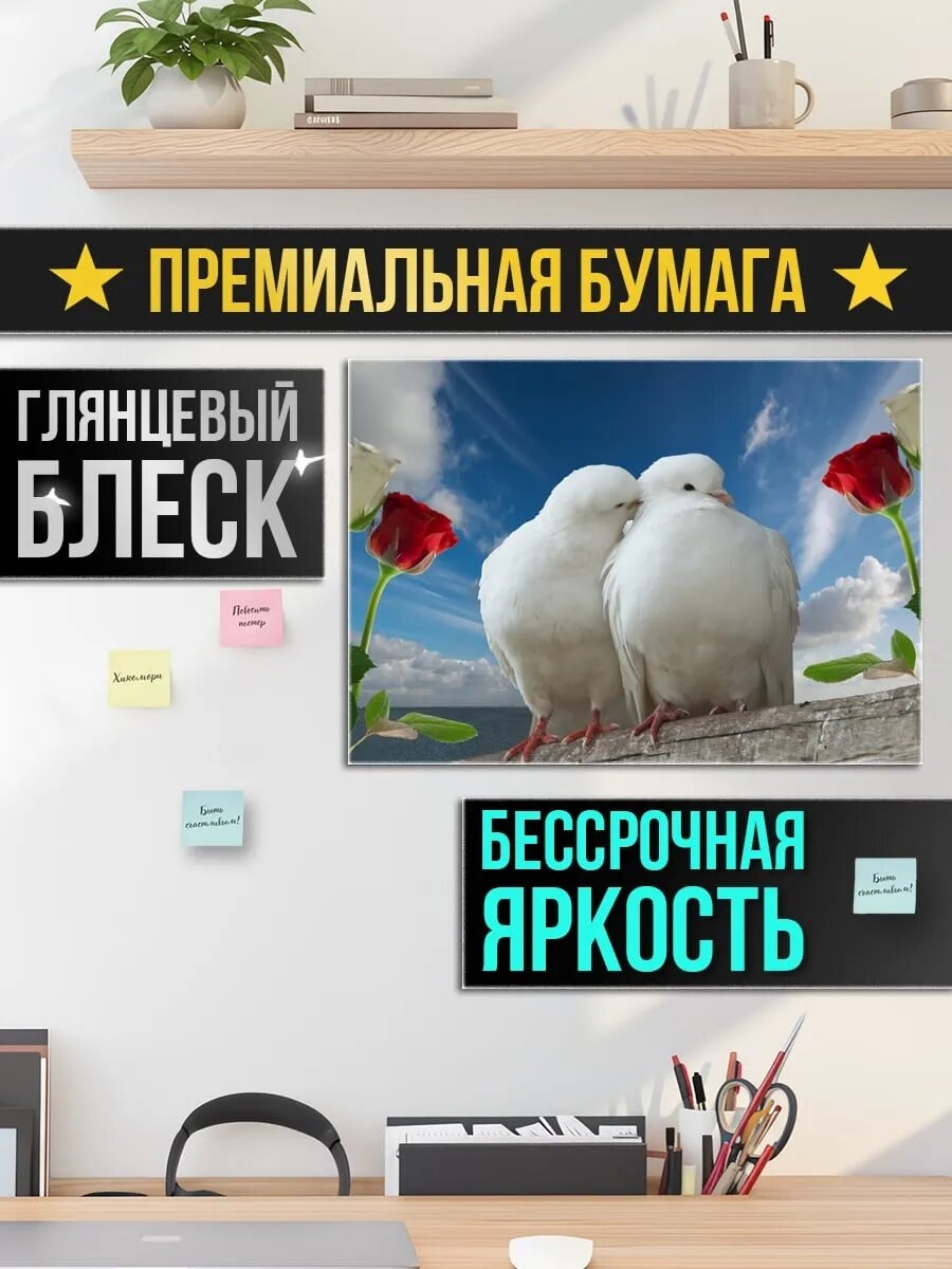 Плакат постер Две белые голубки — фото 1