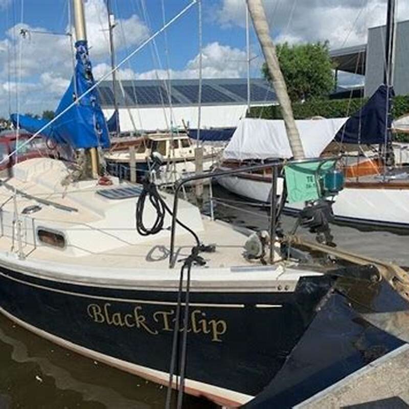 Wester Clever 30