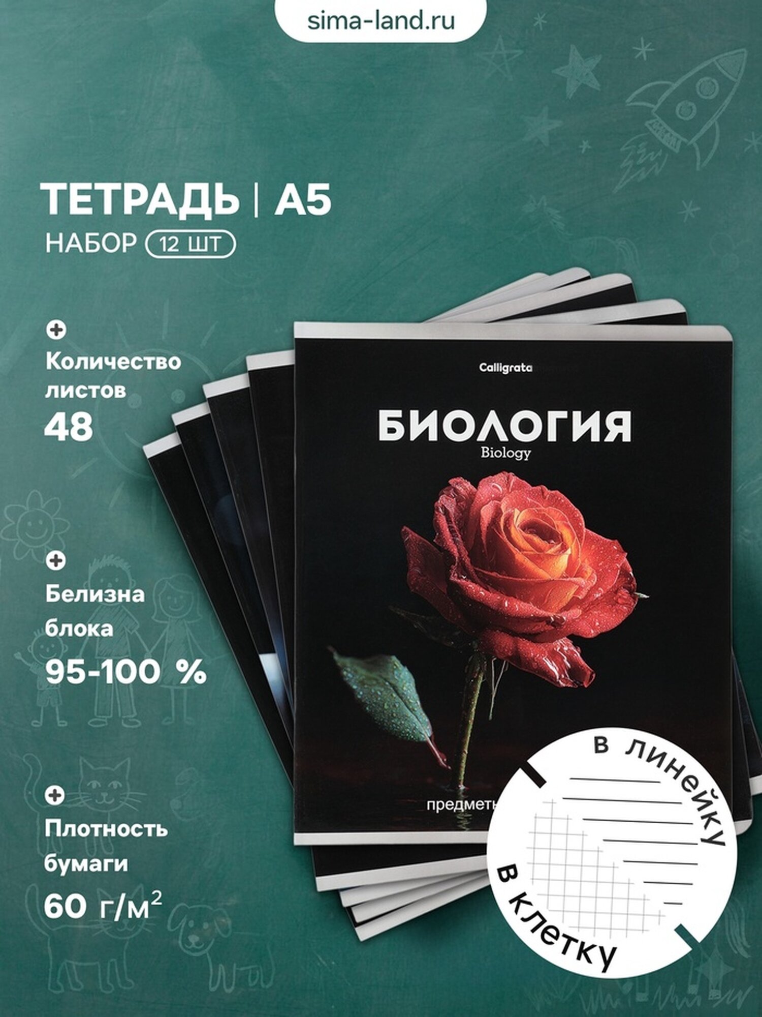 Комплект 12 предметных тетрадей 48 листов, справочная информация, 60гр, Черная серия