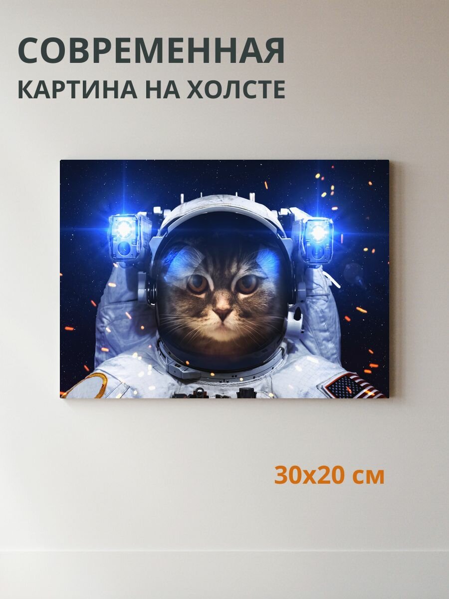 Картина на холсте Кот в космосе 30x20 см