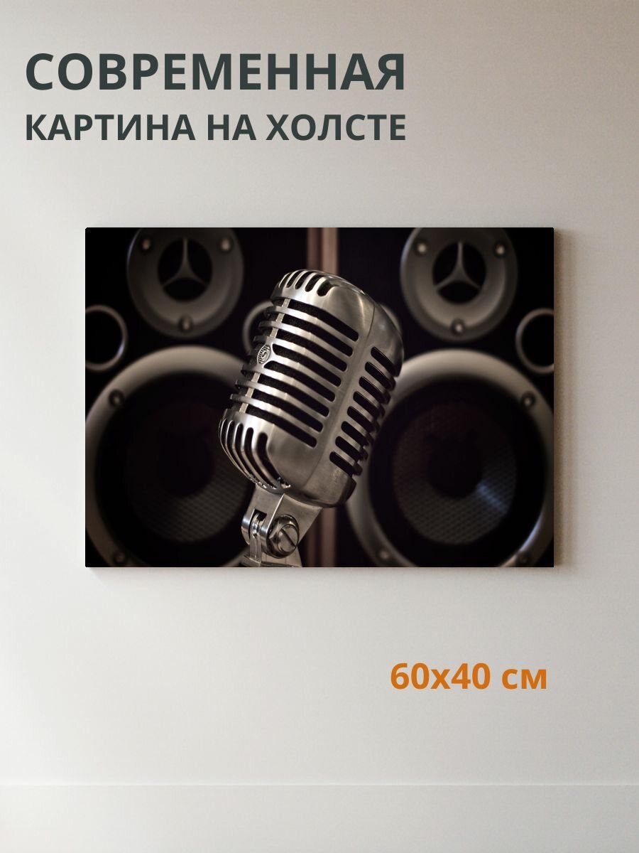 Картина на холсте Серебристый вертикальный микрофон 60x40 см