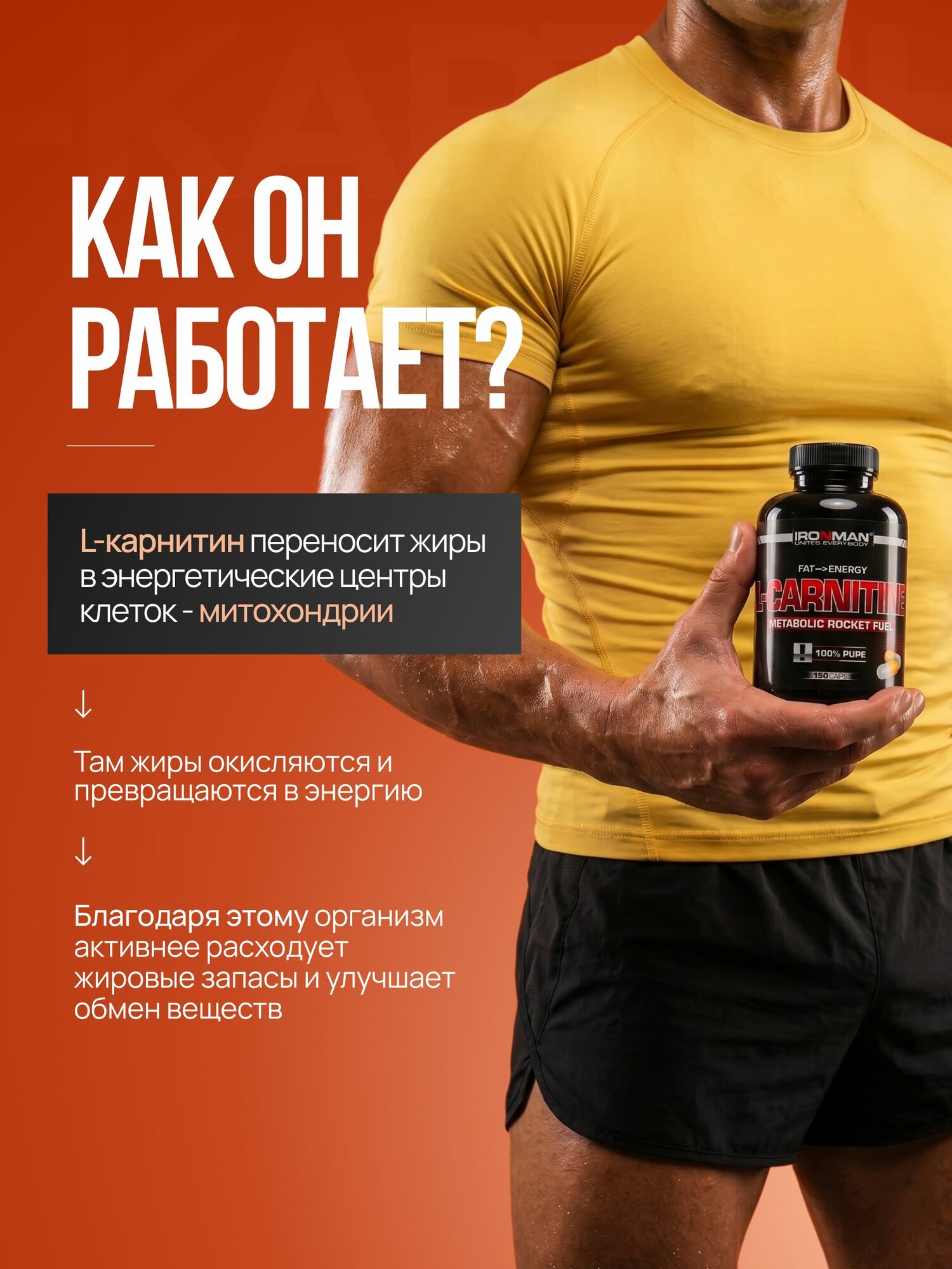 L carnitine 150 капсул — фото 1