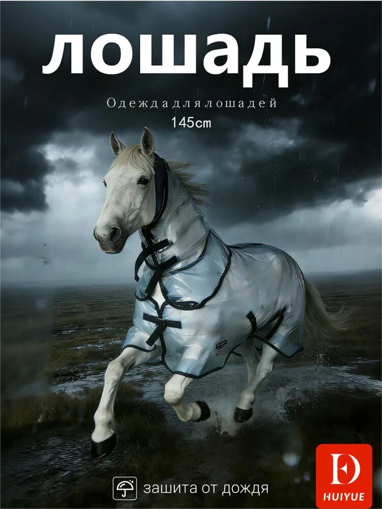 Дождевик, одежда для лошадей