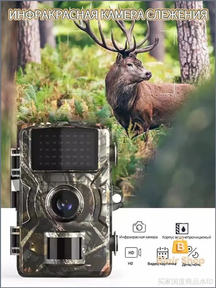 Фотоловушка