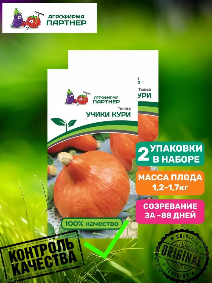 Тыква учики кури (10шт) / 2 уп