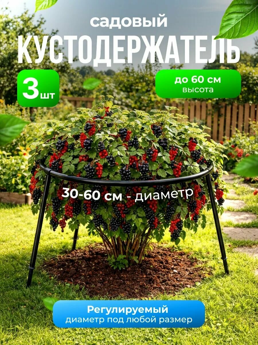 Кустодержатель садовый 3 шт. держатель для кустов опора для кустов садовый держатель