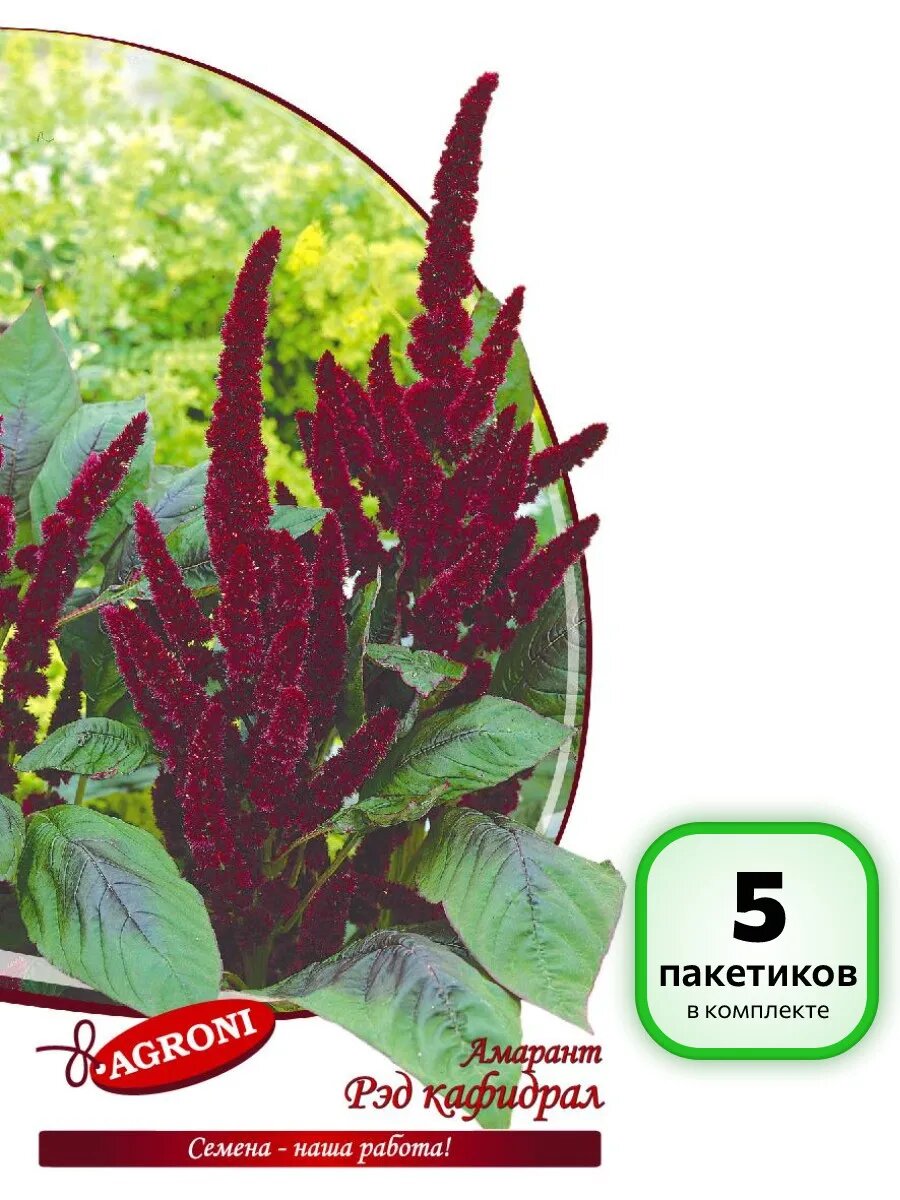 (5 шт.) - Семена Амарант Рэд Кафидрэл(0,1г)