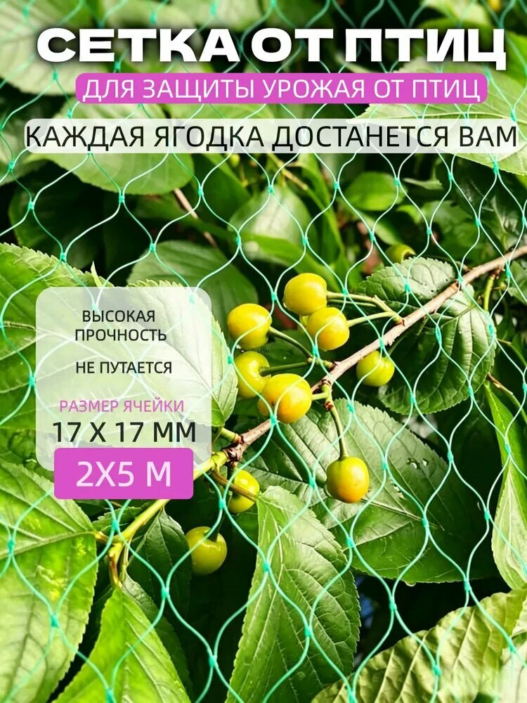Сетка садовая защитная от птиц, Пластик,5х2м