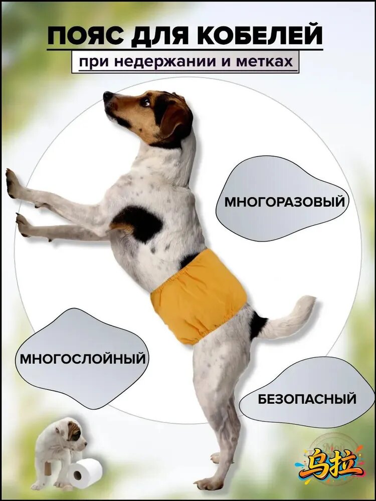 Пояс для кобелей многоразовый подгузник