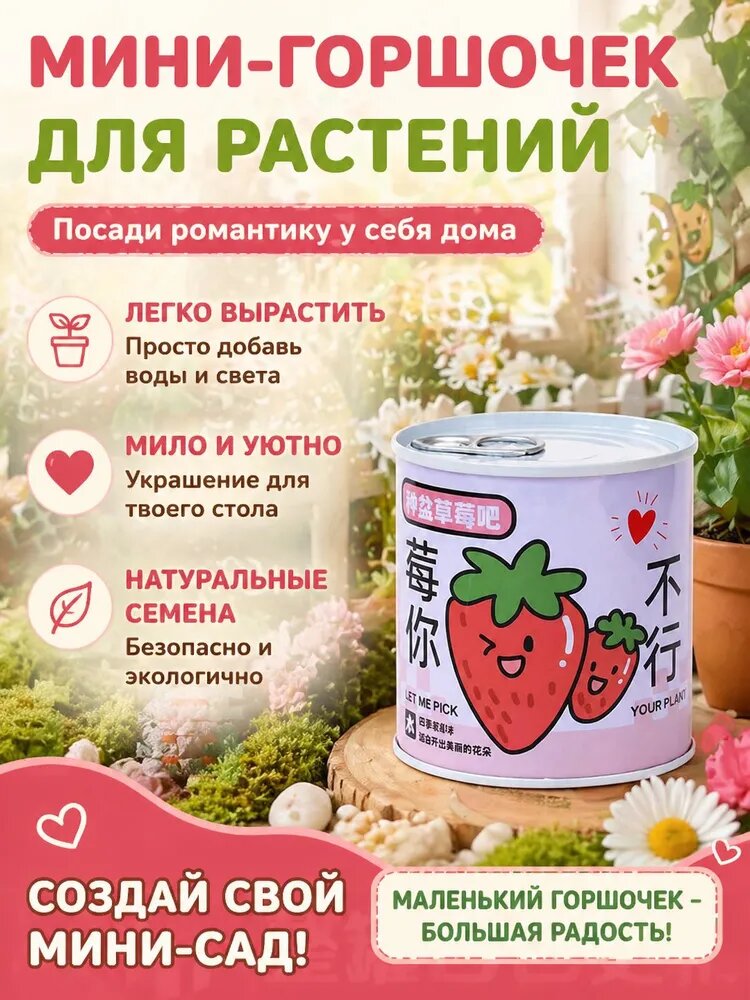 Кассета для рассады