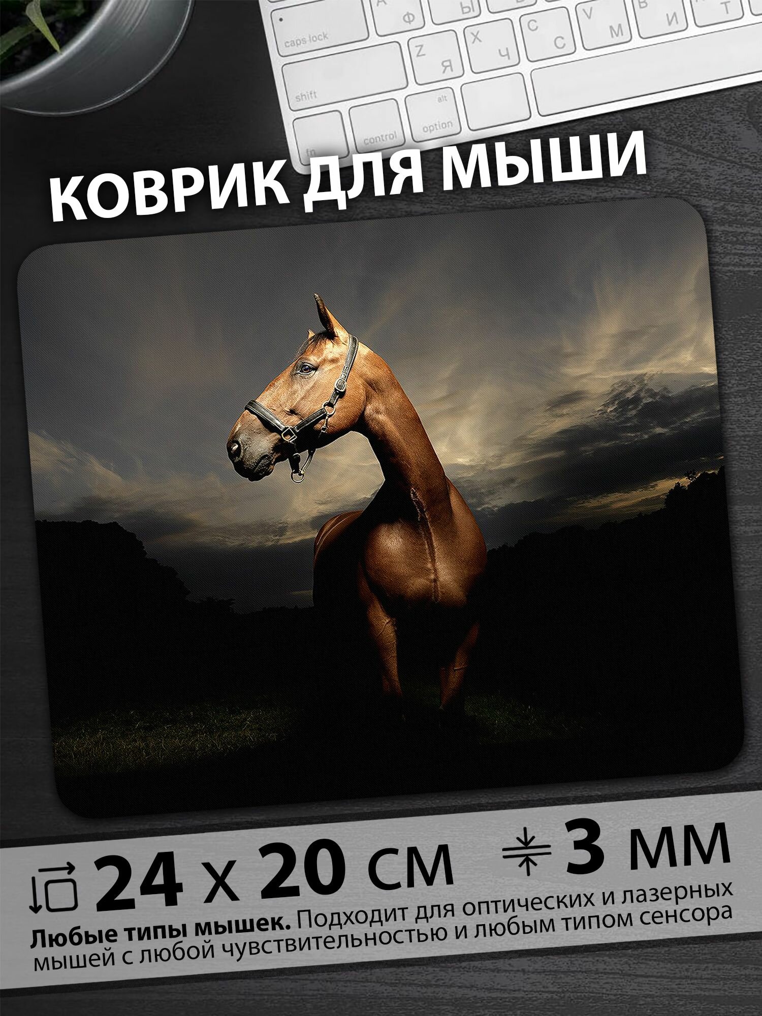Резиновый коврик для мыши (24 x 20 см x 3 мм)