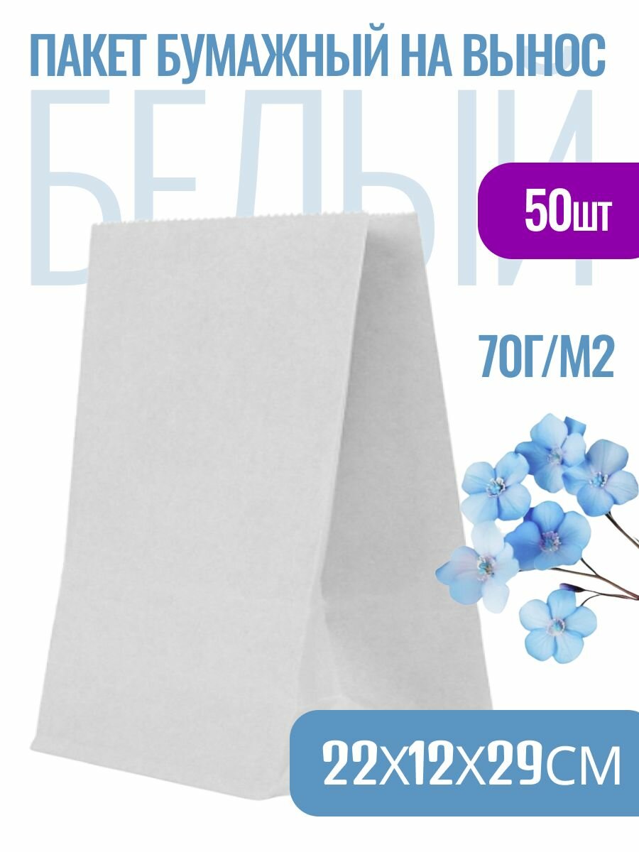 Пакет бумажный на вынос 22х12х29см 70г/м2 цвет Белый 50шт