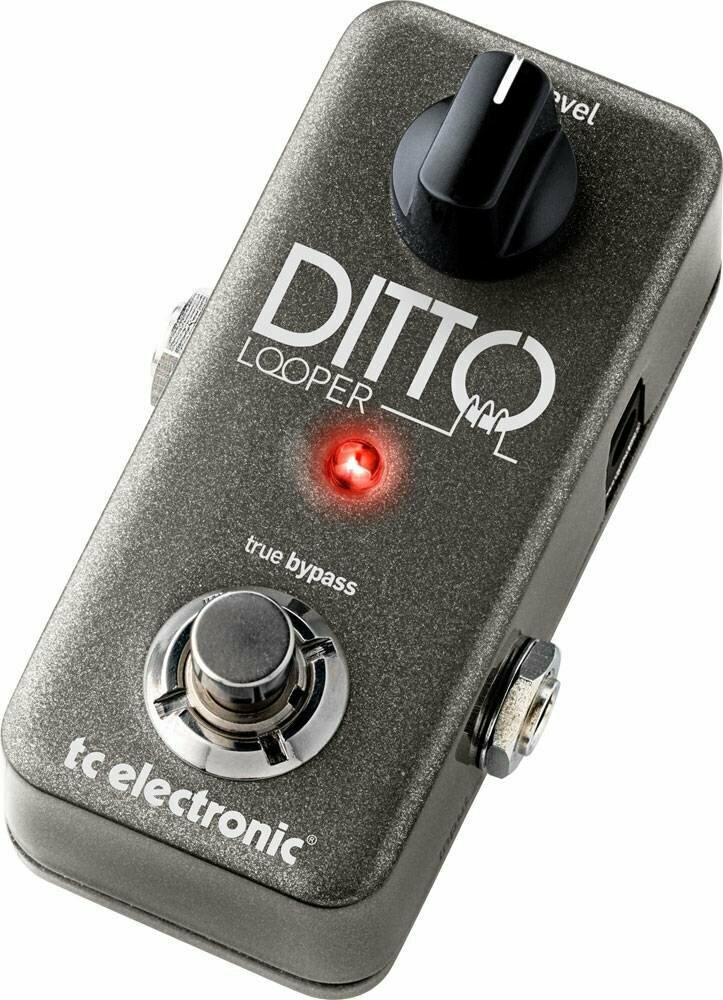 Гитарная педаль эффектов TC Electronic DITTO LOOPER лупер, true bypass — фото 1