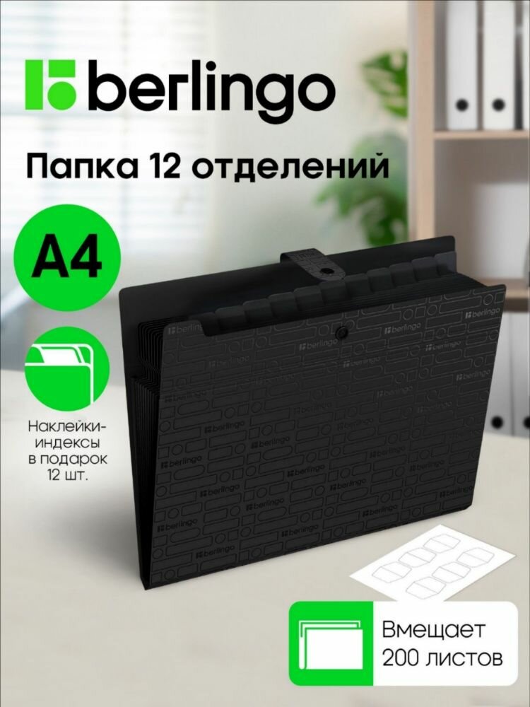 Папка-органайзер A4, 1 шт.