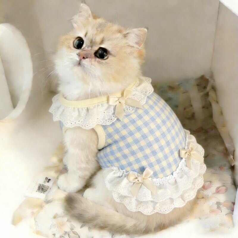 Платье для кошки <Кошачья принцесса> с кружевом, предотвращающее выпадение шерсти