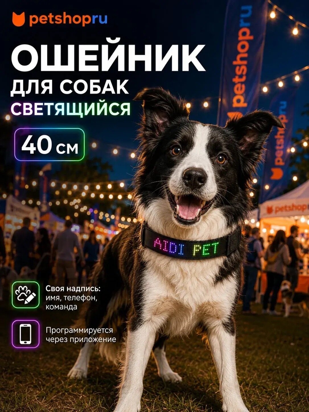 Светящийся ошейник "Райз", чёрный
