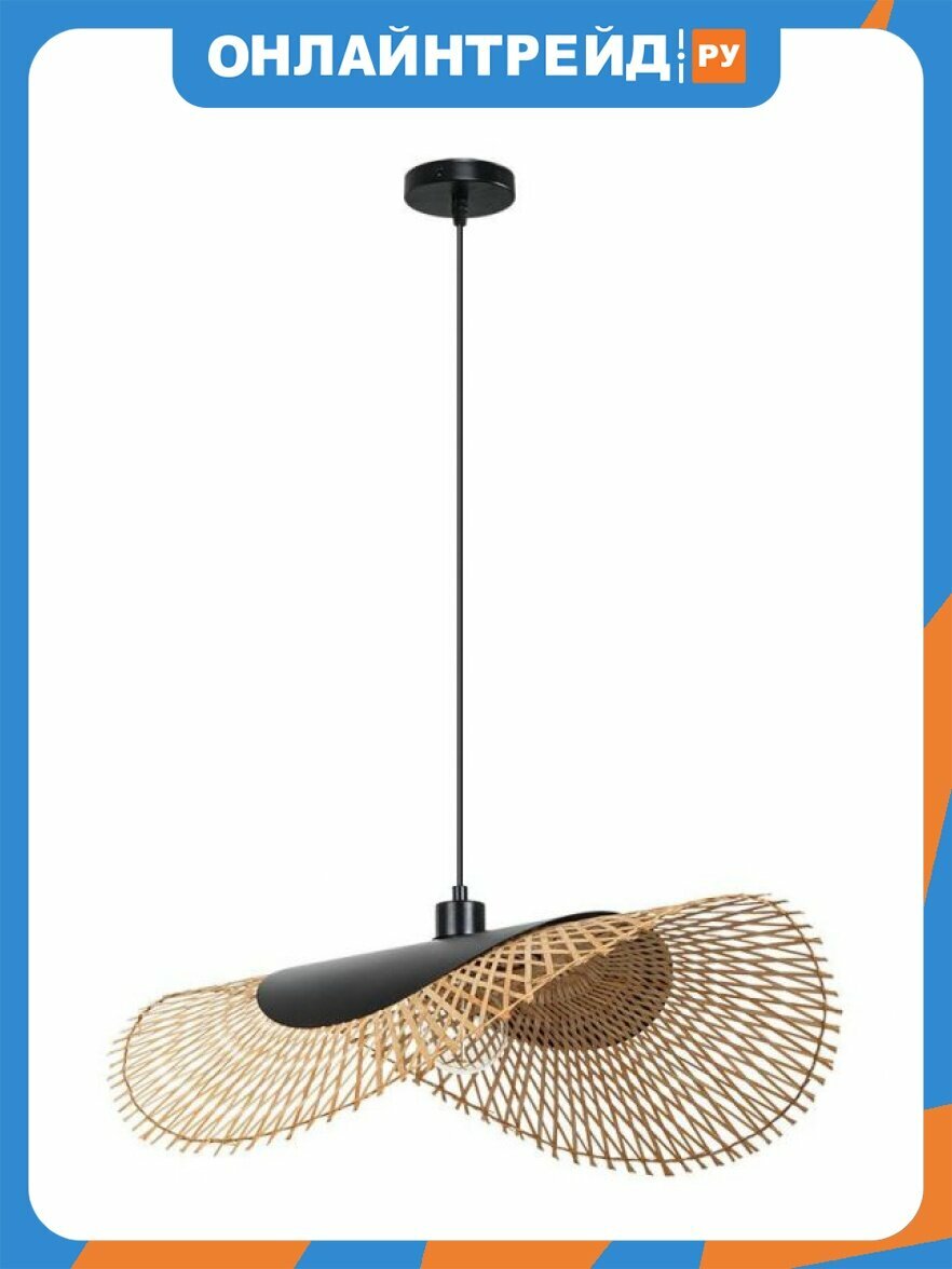 Подвесной светильник Arte Lamp WOODSTOCK A7063SP-1BK