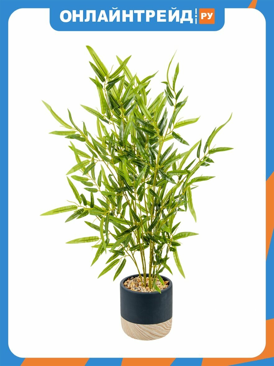 Бамбук Вещицы в цементном горшке, Д110 Ш110 В650
