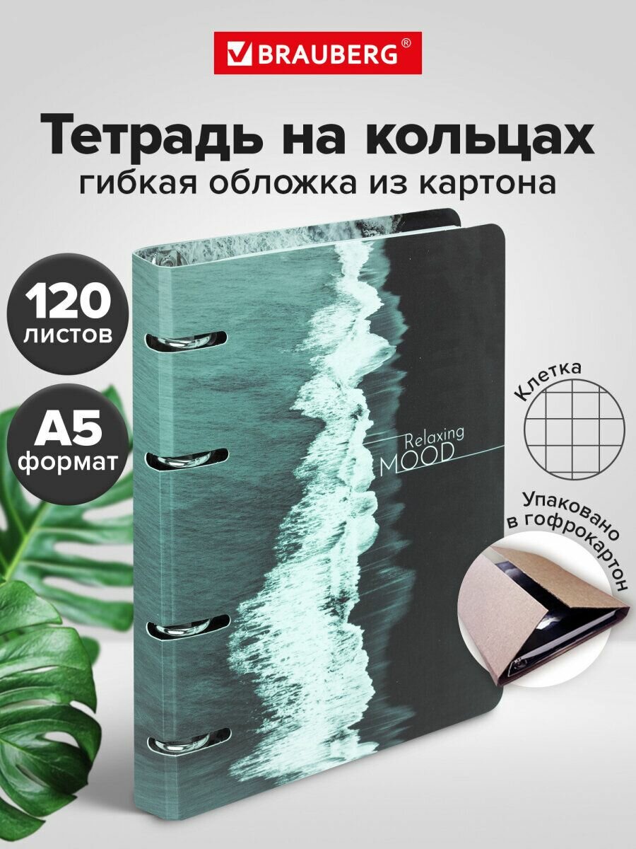 Тетрадь на кольцах А5 в клетку со сменным блоком 160х212 мм, 120 листов, обложка картон, Relax тетрадь на кольцах сменный блок А5 клетка 120 листов