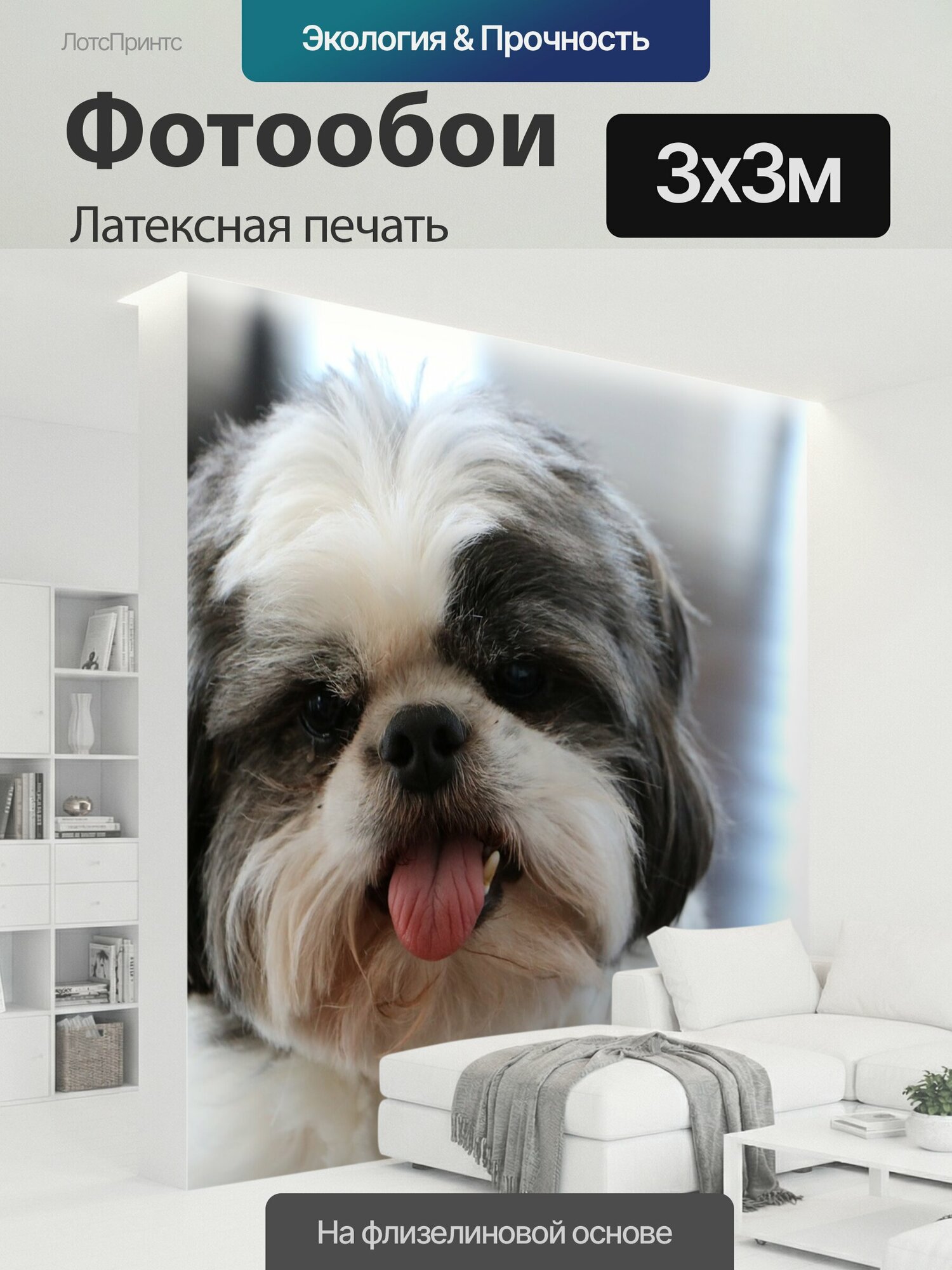 Фотообои моющиеся ударопрочные "Собака, ши тцу, белый" 300x300 см. латексная печать