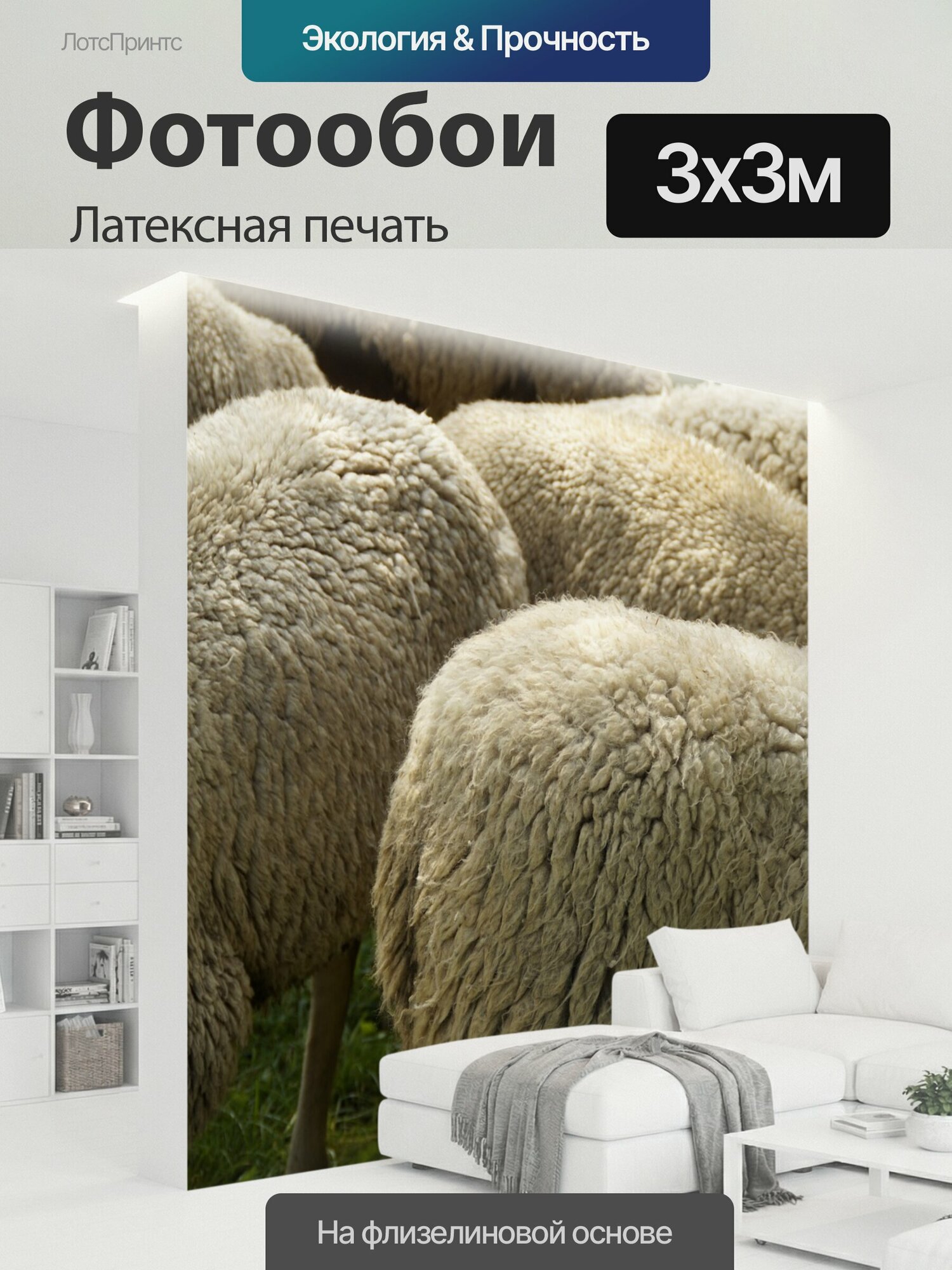 Фотообои моющиеся ударопрочные "Овцеводство, шерсть, овчина" 300x300 см. латексная печать