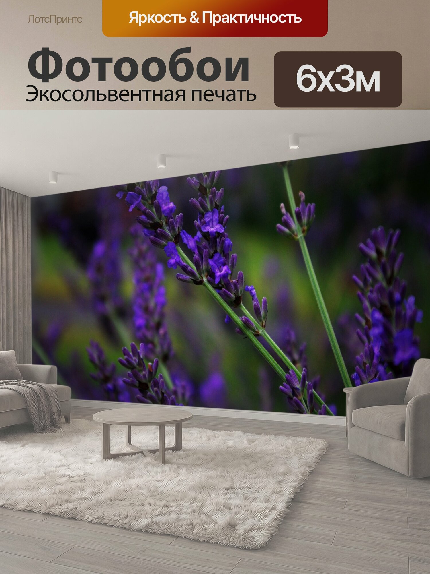 Фотообои "Лаванда, цветок, завод" 600x300 см. экосольвентная печать