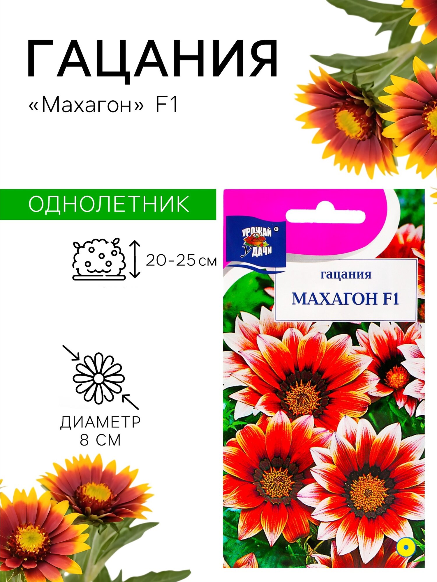 Семена цветов Гацания «Махагон», F1, для балкона, веранды, цветника, однолетник, низкорослая0.04 г