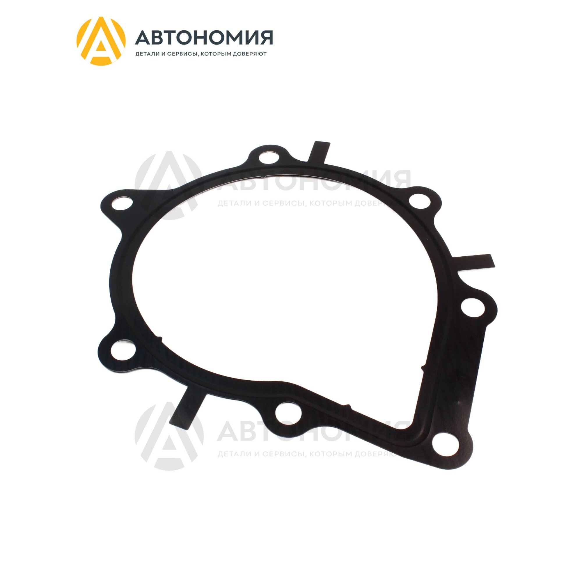 Прокладка водяного насоса Land Rover LR001310
