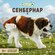Collecta Сенбернар L длина 10 см