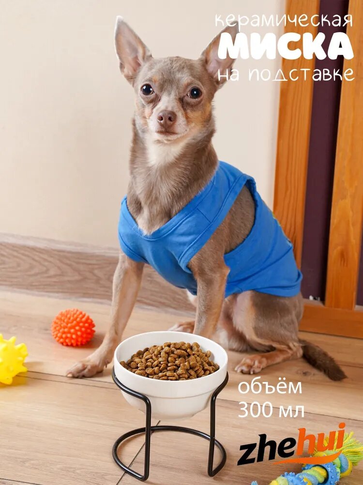 Миска для животных