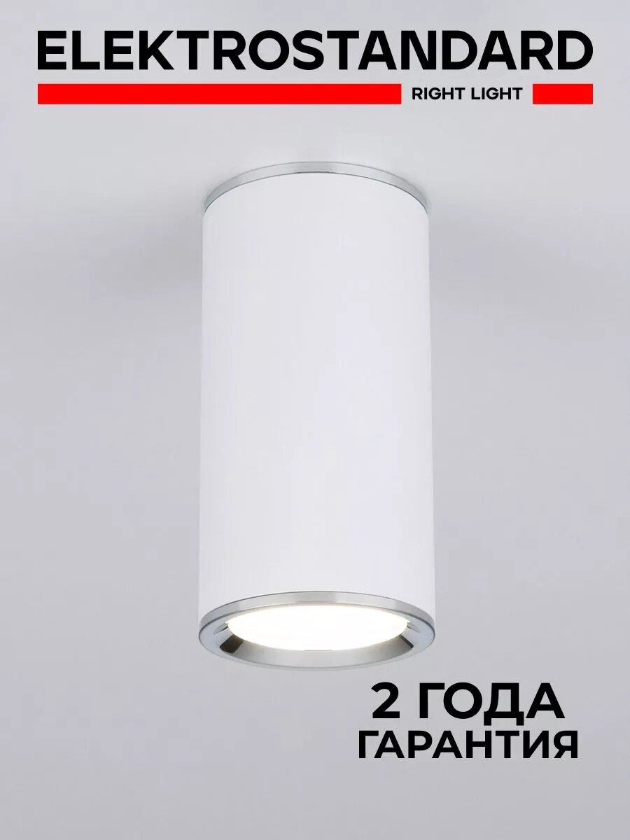 Спот / Накладной потолочный светильник Elektrostandard Rutero DLN101, GU10, WH белый