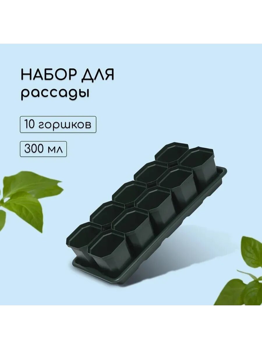 Комплект для выращивания рассады: стаканы и поддоны