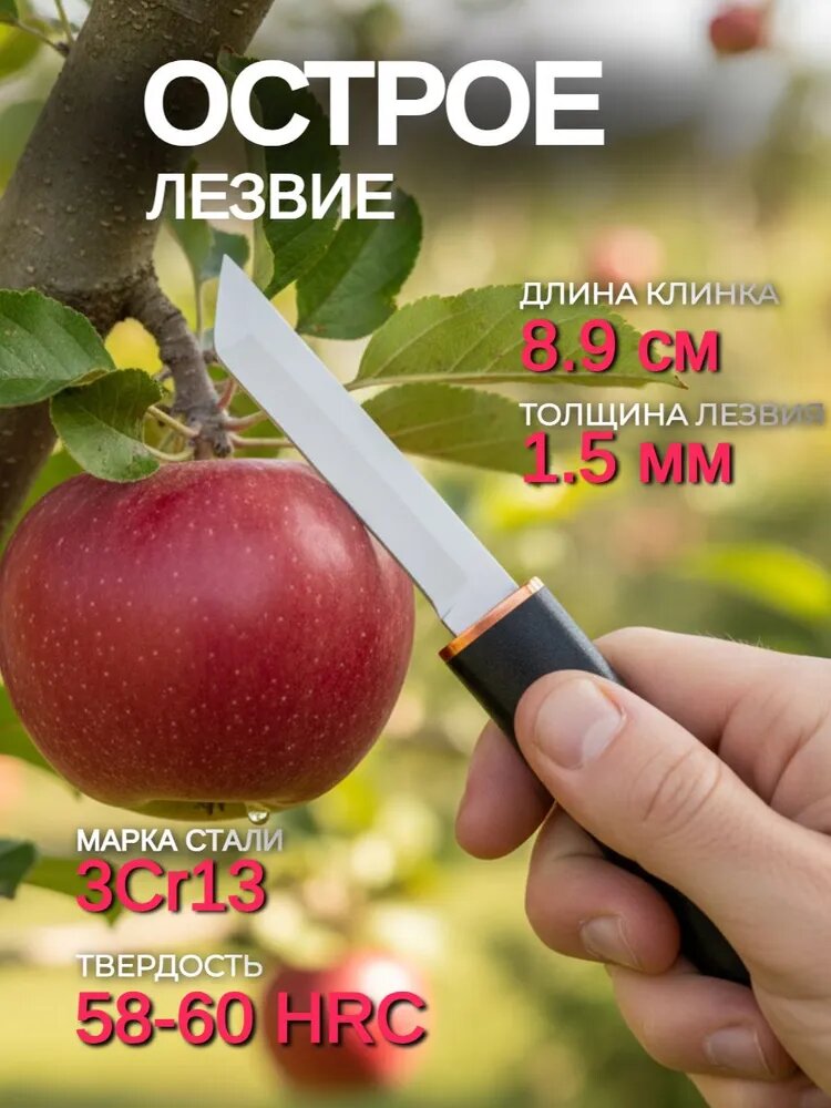Нож танто — фото 1