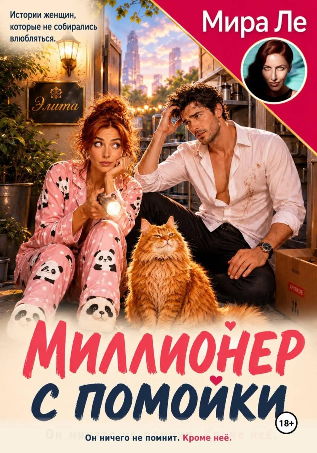 Миллионер с помойки [Цифровая книга]