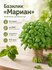 Базилик Мариан, семена