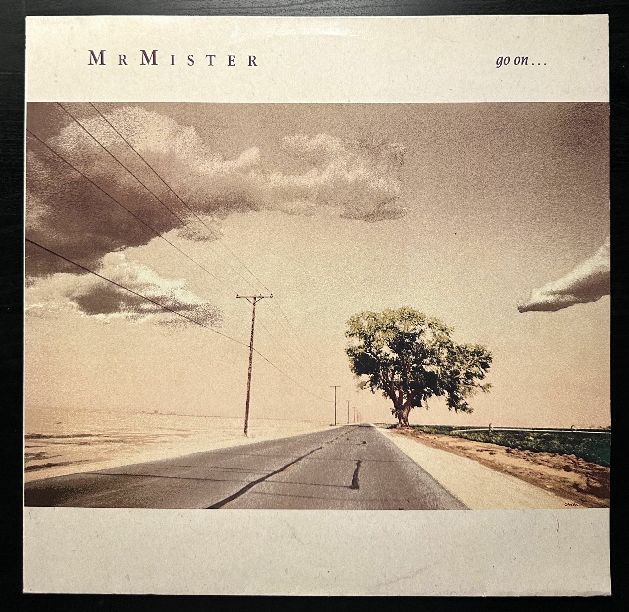Виниловая пластинка Mr. Mister Go On (Германия 1987г.)