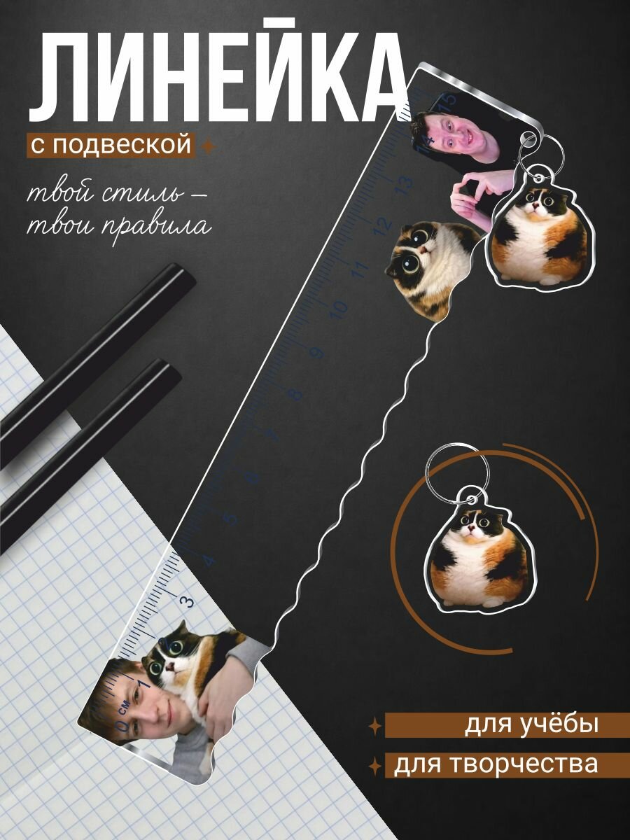 Линейка 15 см мем котость