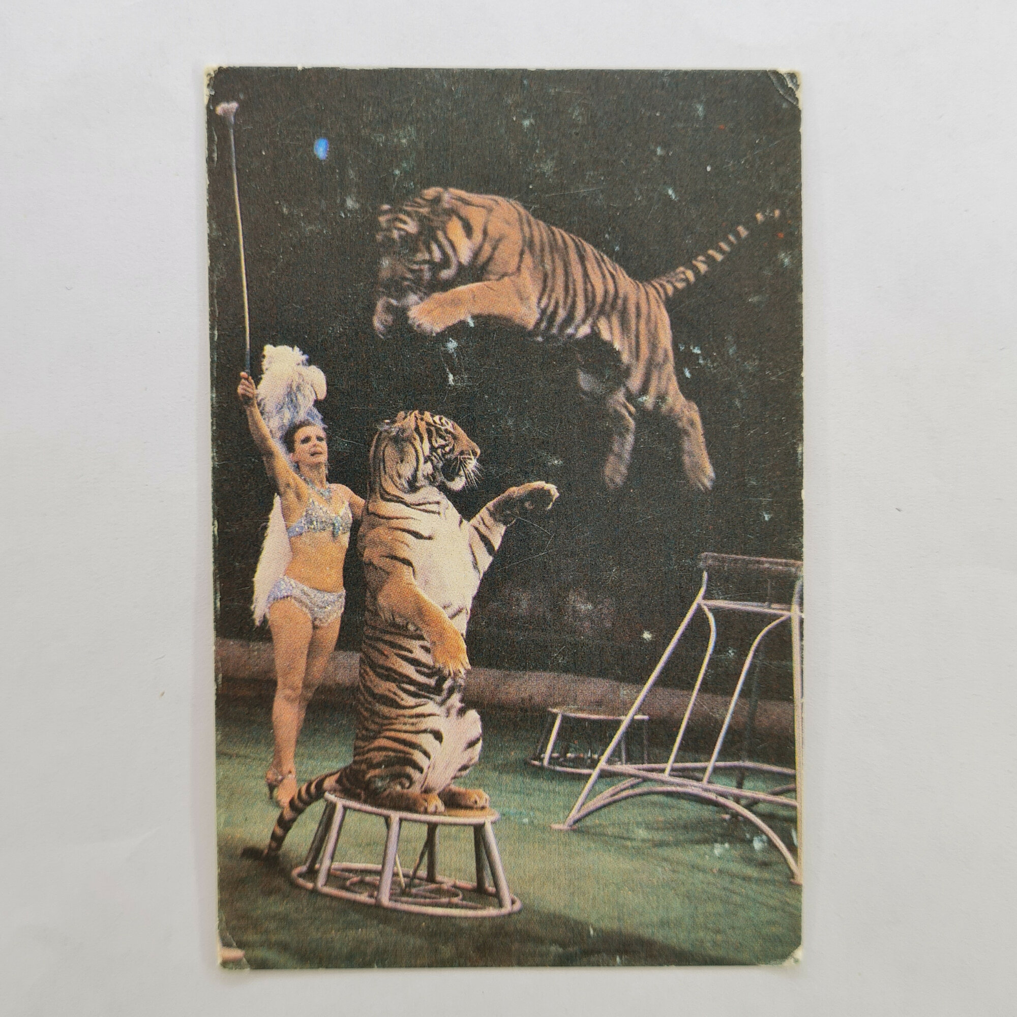 Карманный календарик СССР 1989. Дрессировщица и тигры, цирк. Советский календарь винтажный