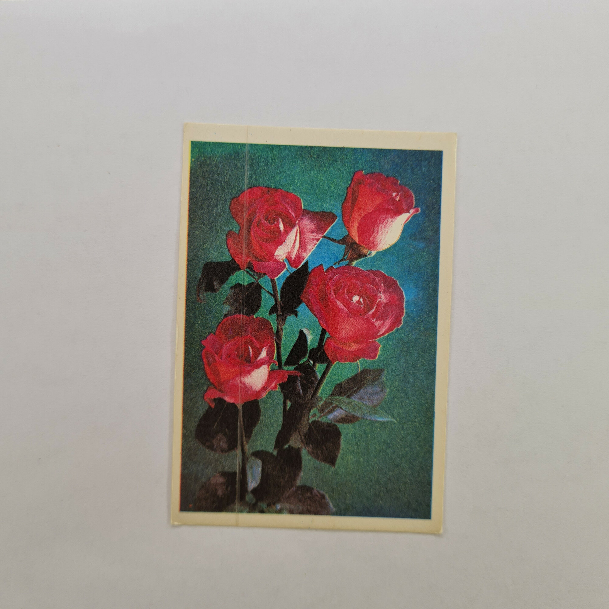 Карманный календарик СССР 1990. Красные розы, цветы. Советский календарь коллекционный###