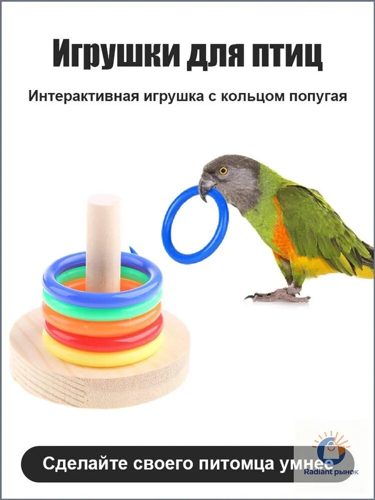 Качественный интерактив с кольцом, для попугаев
