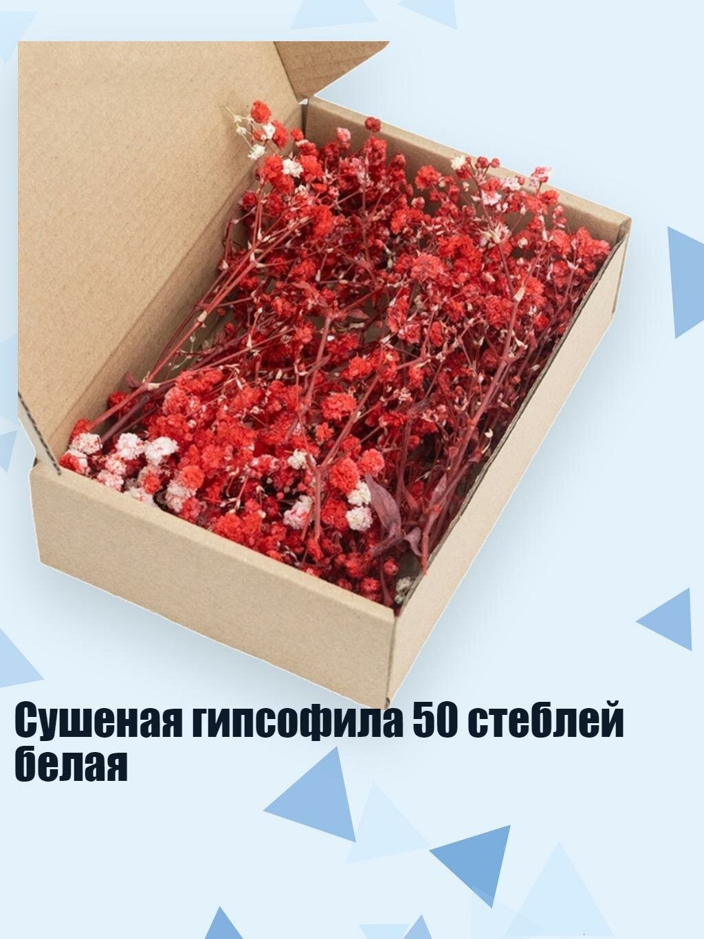 Сушеная гипсофила 50 стеблей белая, 3
