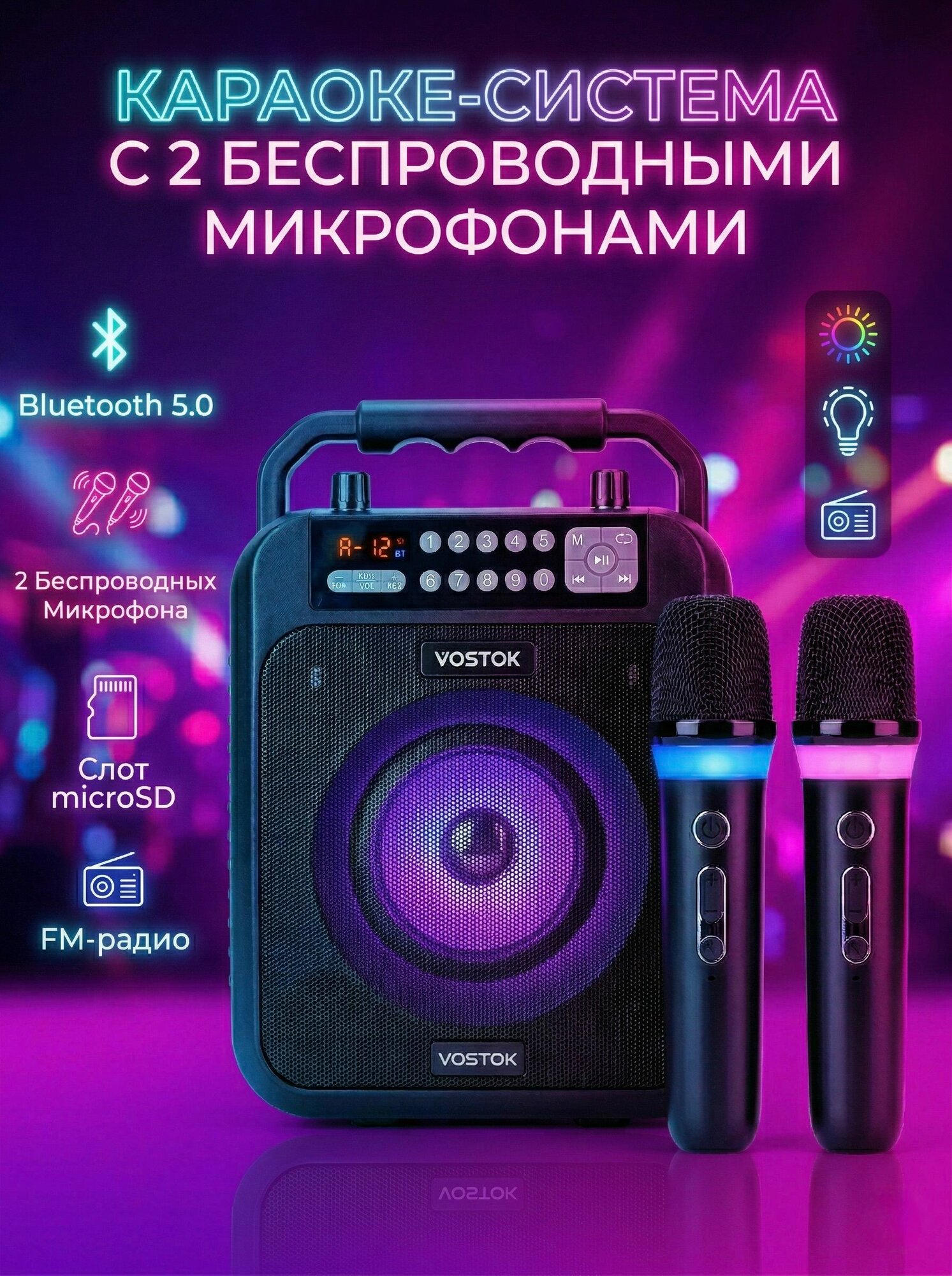 Караоке система с двумя микрофонами