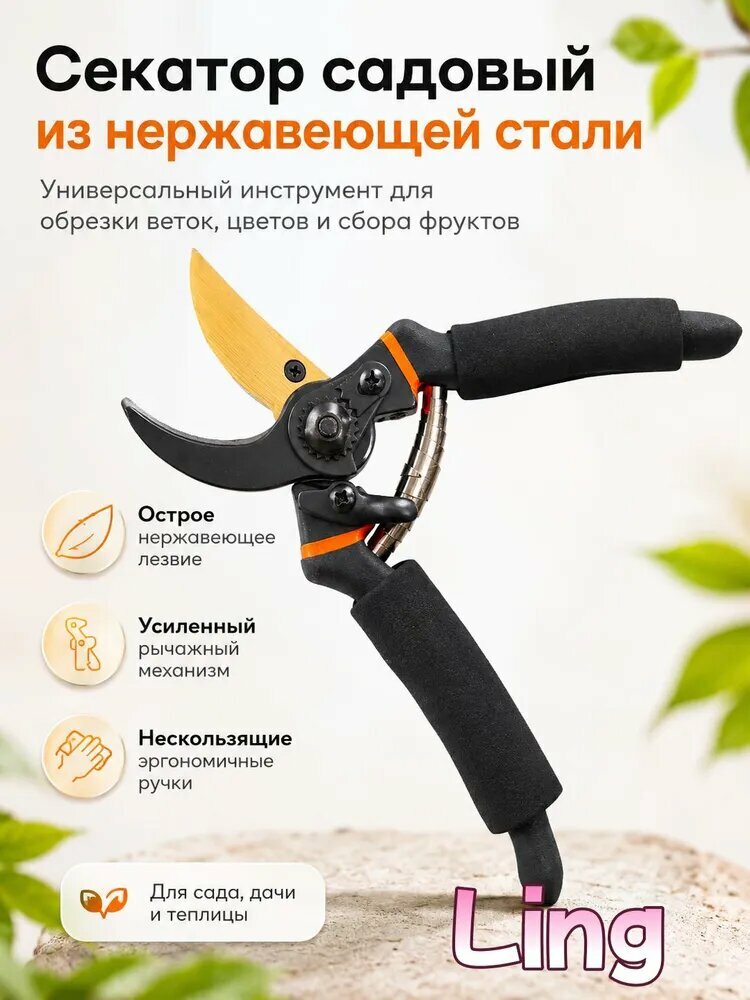 Секатор
